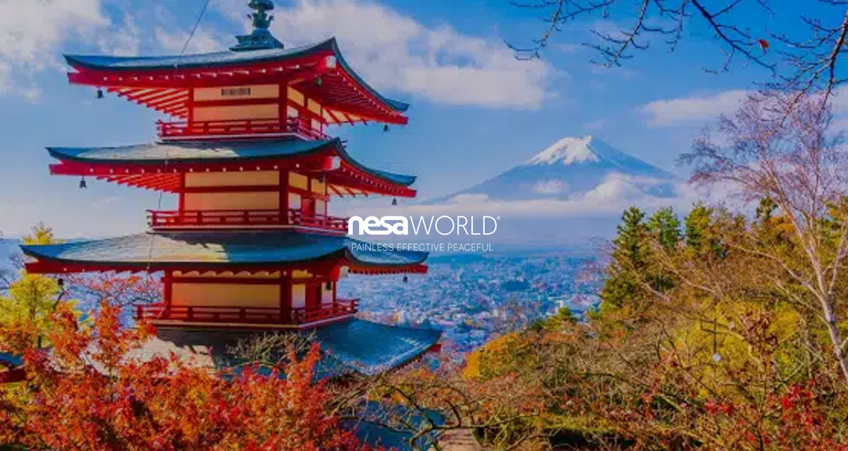 Our history | NESA® WORLD