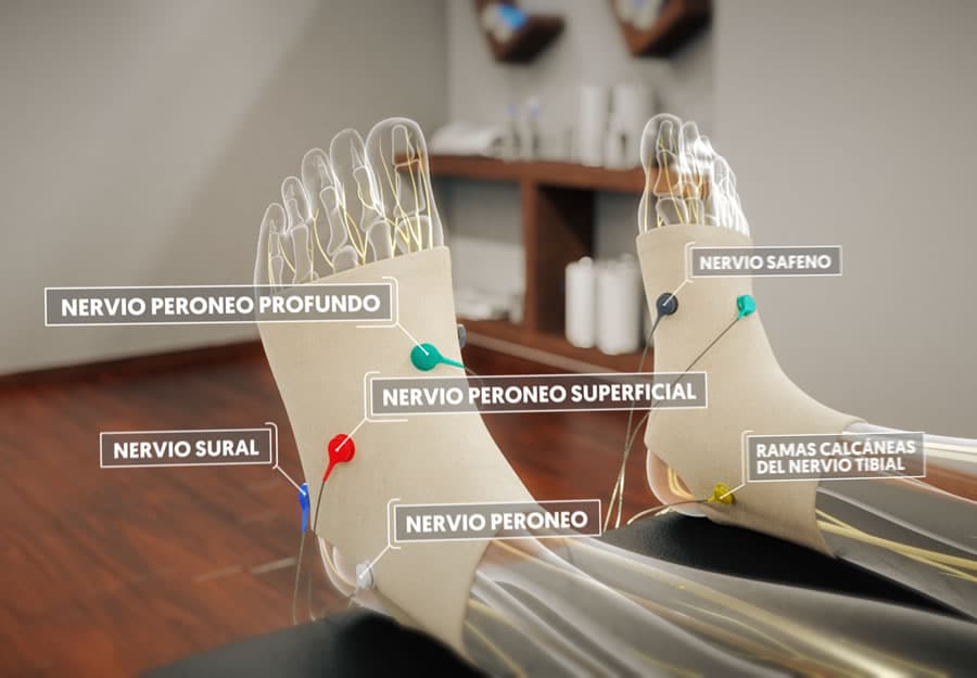 La Potencialidad de las Microcorrientes NESA - NESA WORLD