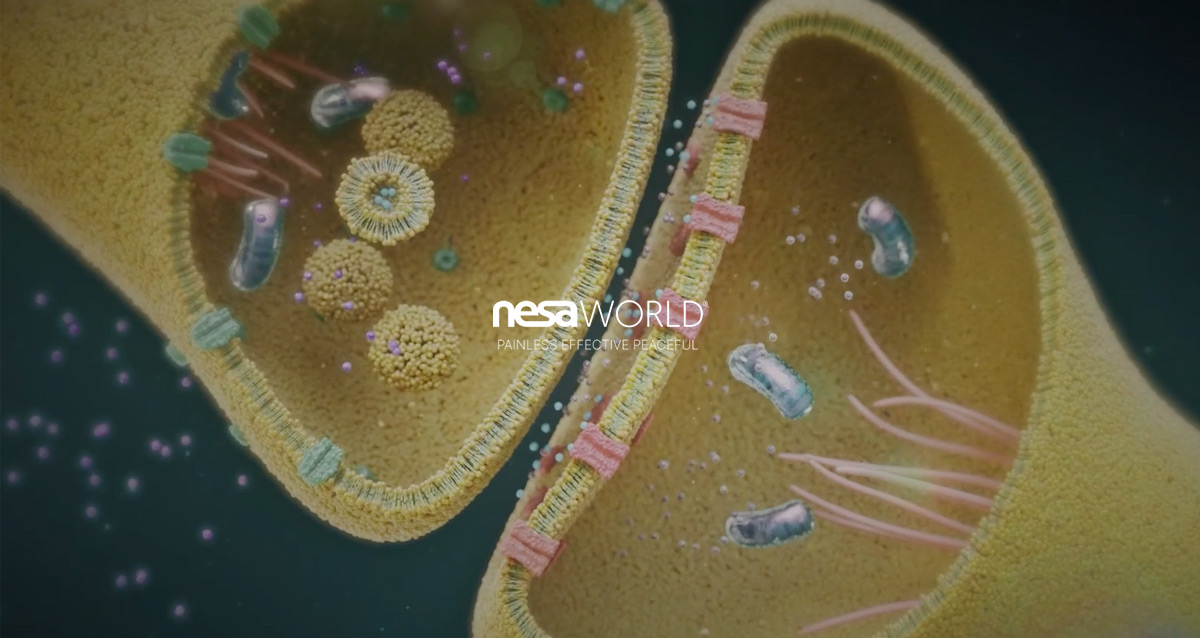 NESA Microcurrents - NESA WORLD